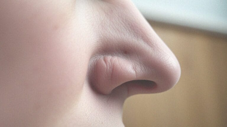 Budowa nosa zewnętrznego - anatomia i funkcje nosa